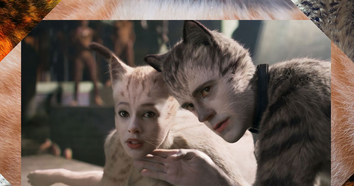 The Story Behind Cats’ Very Intense Cat School