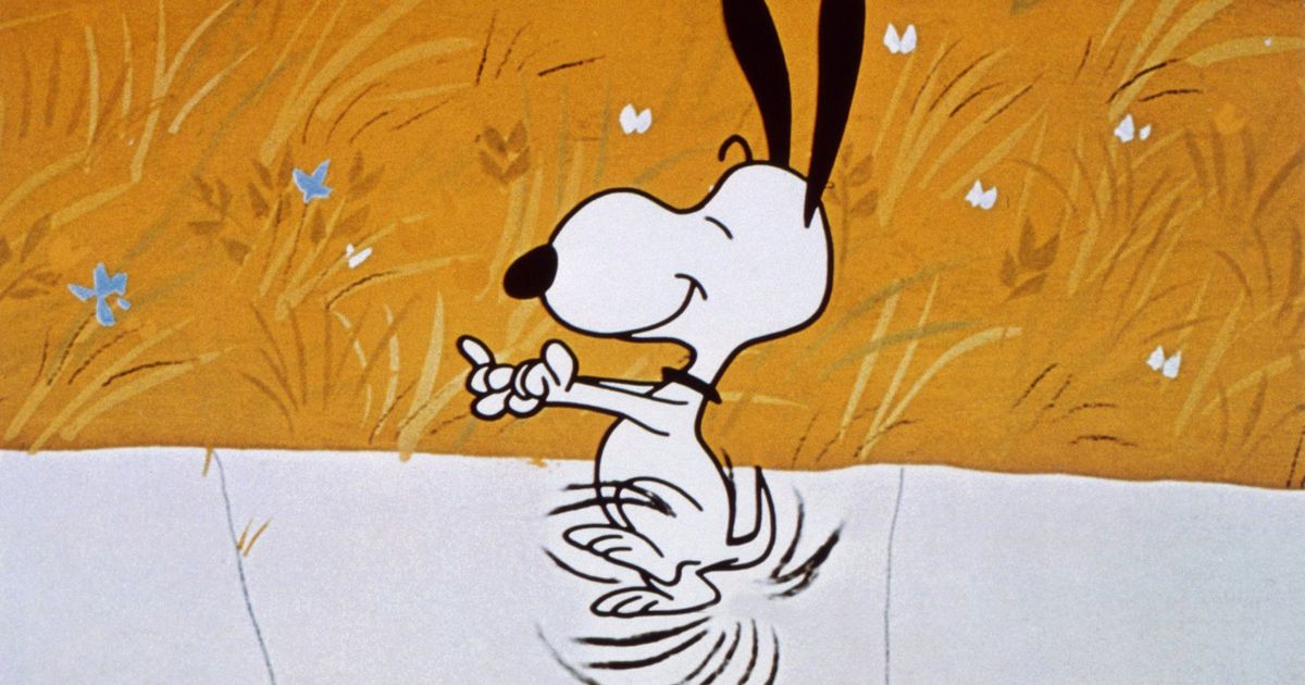 Snoopy Sister Resumes TikTok Fan Edits After Being Grounded